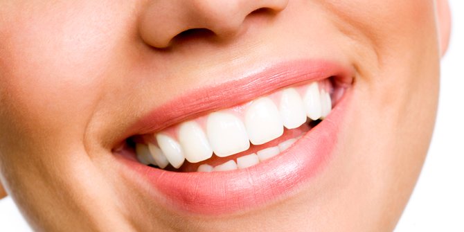 Fungsi Rongga Mulut dalam Sistem Pencernaan, Ketahui Strukturnya ...