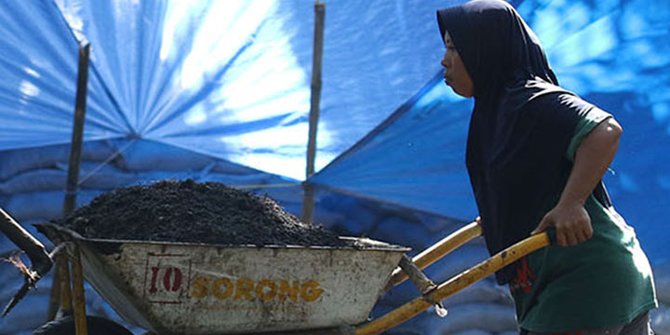 Fungsi Pupuk TSP untuk Tanaman, Pahami Sifat, Keunggulan dan Cara ...