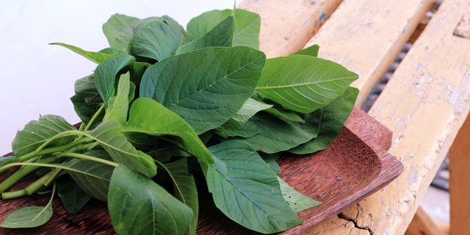 Bayam Kesukaan Popeye dan Bayam yang Biasa Kita Konsumsi ternyata Beda ...