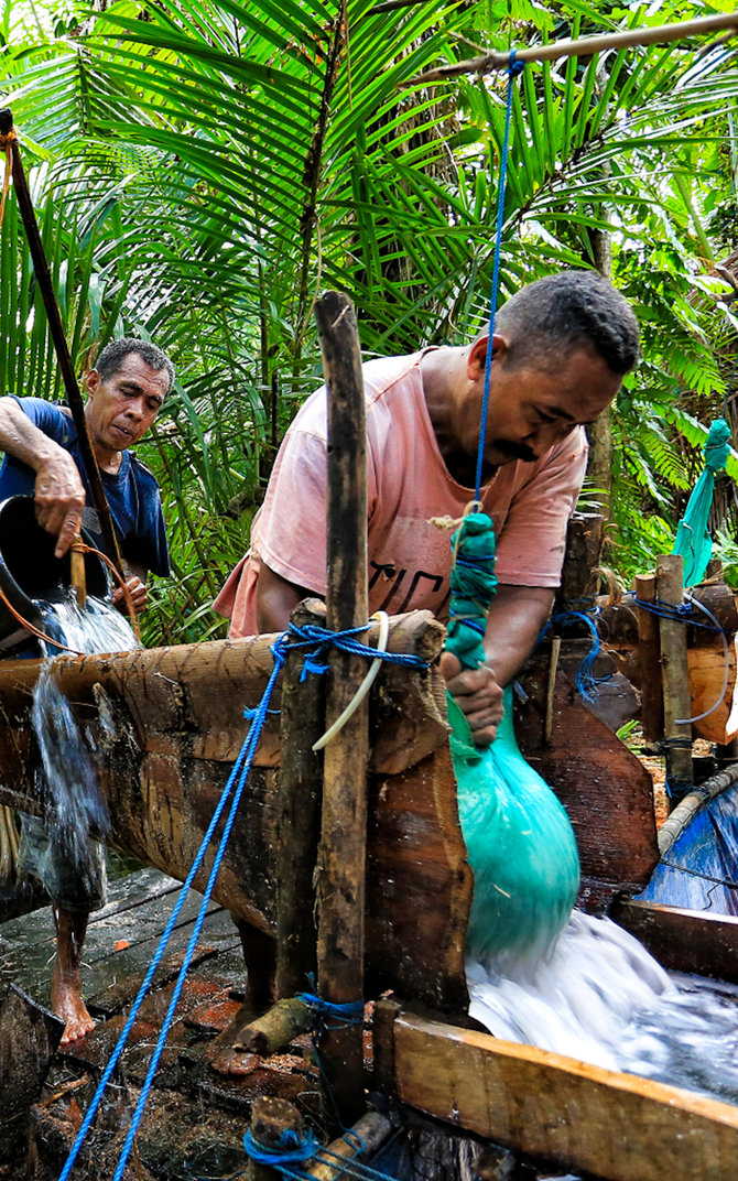 Seputaran Papua: Fakta Etnis-etnis hingga Makanan Asli di Papua