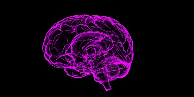 Memahami Fungsi Serebrum dan Anatominya, Organ Kompleks yang Vital bagi ...