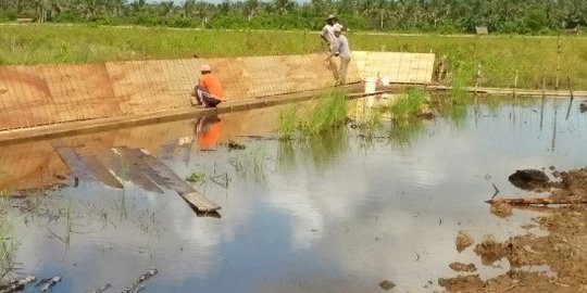 Embung Jadi Solusi Kelancaran Distribusi Air untuk Pertanian Indonesia ...