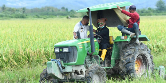 Pertumbuhan Sektor Pertanian Tertinggi pada Triwulan II/2021 | merdeka.com