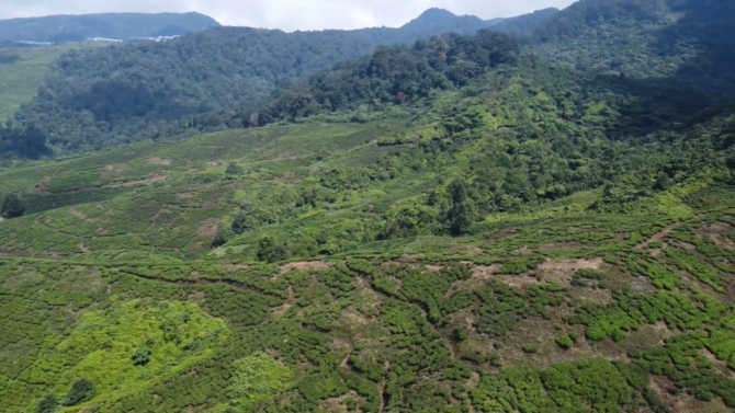 Mengintip Keelokan Nanggung, Tempat Wisata Baru di Bogor dengan Kebun ...