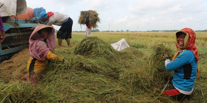 Sumber Daya Memadai Jadi Kunci Memacu Ketahanan Pangan | merdeka.com