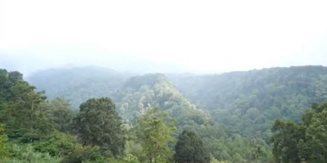 Kota Bogor Akan Punya Jembatan Gantung Terpanjang di Dunia, Begini ... Kota Bogor Akan Punya Jembatan Gantung Terpanjang di Dunia, Begini ...