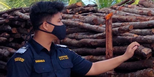 Bea Cukai Kepulauan Riau Gagalkan Penyelundupan Kayu Teki