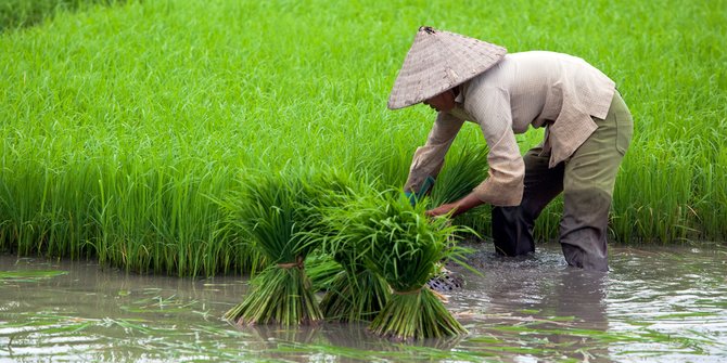 Transformasi Sistem Pangan Dinilai Penting untuk Mitigasi Krisis Iklim ... Transformasi Sistem Pangan Dinilai Penting untuk Mitigasi Krisis Iklim ...