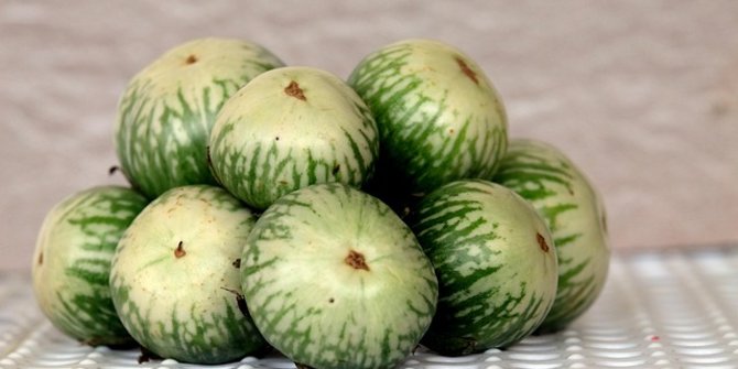 7 Manfaat Terong Hijau bagi Kesehatan yang Jarang Diketahui | merdeka.com