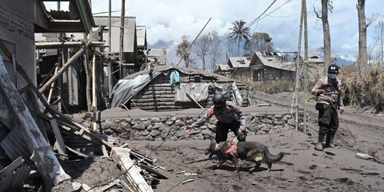 Jembatan Penghubung Lumajang-Malang Terputus Akibat Erupsi Semeru ... Jembatan Penghubung Lumajang-Malang Terputus Akibat Erupsi Semeru ...