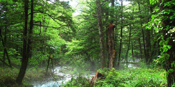 6 Upaya untuk Melestarikan Lingkungan yang Dapat Dilakukan, Ini ...