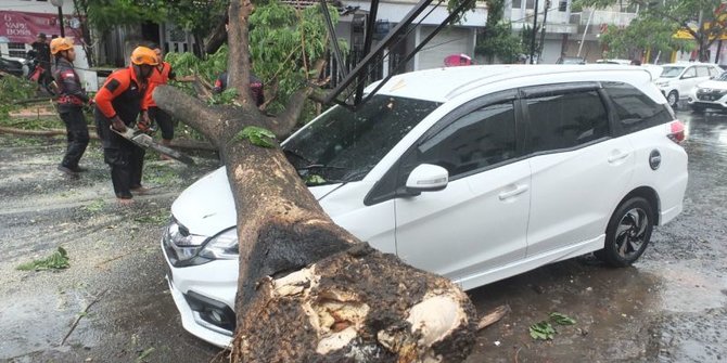Cara Klaim Kendaraan Tertimpa Pohon Tumbang di Jakarta | merdeka.com