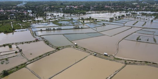 Banjir Akibatkan Petani Tambak Tradisional di Lhokseumawe Gagal Panen Puluhan Ton | merdeka.com