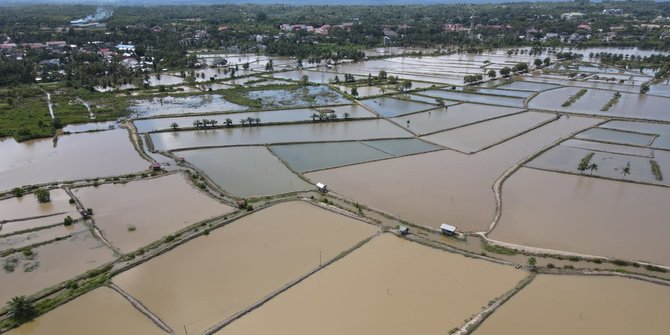 Banjir Akibatkan Petani Tambak Tradisional di Lhokseumawe Gagal Panen Puluhan Ton | merdeka.com