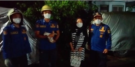 Petugas Damkar Selamatkan Kucing Tersangkut di Atas Pohon Setinggi 3 ... Petugas Damkar Selamatkan Kucing Tersangkut di Atas Pohon Setinggi 3 ...