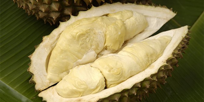 9 Resep Camilan Durian Enak dan Bikin Nagih, Mudah Dipraktikan ...