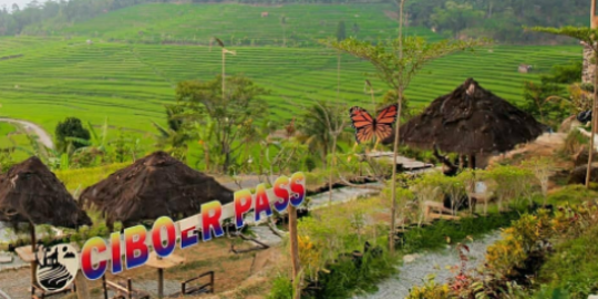 Sawahnya Curi Perhatian, Wisata Ciboer Pass Majalengka Ini Serasa di Ubud Bali | merdeka.com