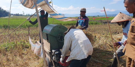 Fokus ke Indonesia Timur, Lahan Program Makmur Diperluas 5 Kali Lipat ... Fokus ke Indonesia Timur, Lahan Program Makmur Diperluas 5 Kali Lipat ...