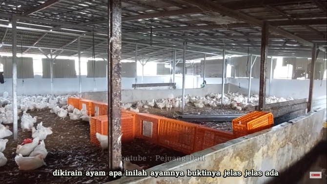 Dulu Dagang Bakso Pikul, Kini Sukses jadi Pengusaha Beromzet Rp60 Juta ...