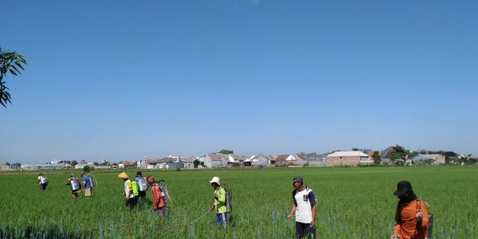Kementerian BUMN Ajak Petani Karo Manfaatkan Program Makmur | merdeka.com