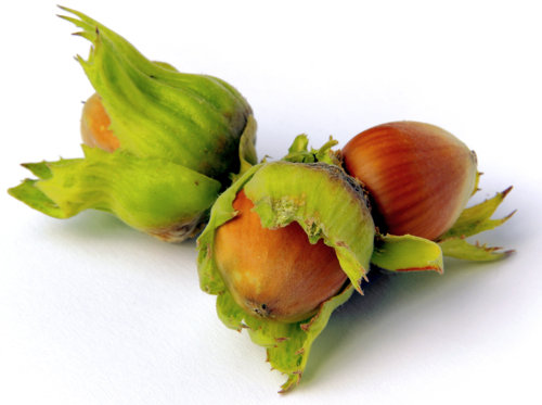8 Manfaat Kacang Hazelnut Bagi Kesehatan yang Jarang Diketahui