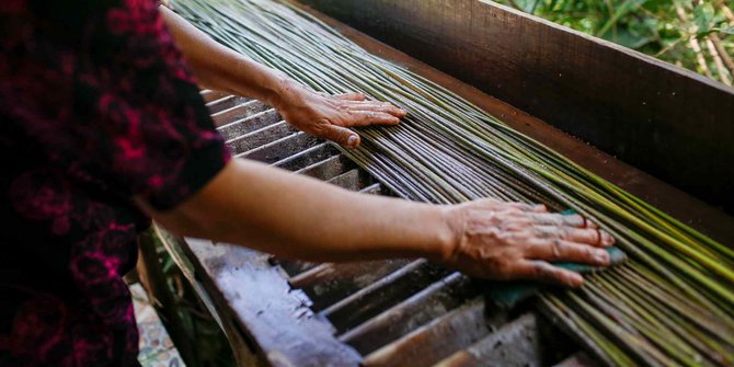 Purunea, Sedotan dari Rumput Liar Indonesia Dibanggakan Menteri ...