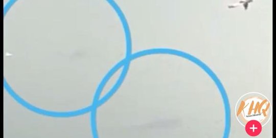 CEK FAKTA: Viral Ikan Raksasa di Danau Ranu Pakis Lumajang, Simak Fakta ...