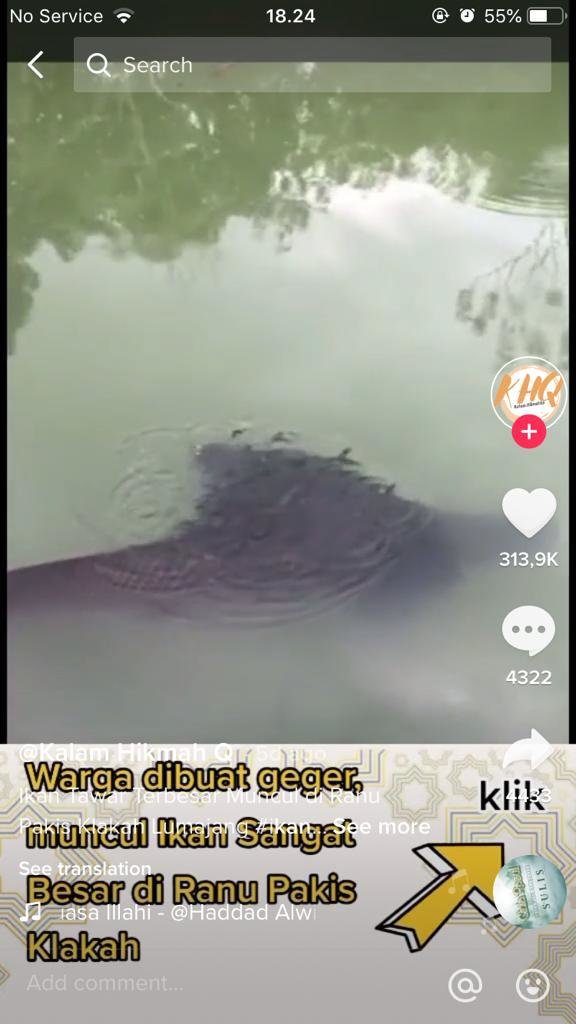 CEK FAKTA: Viral Ikan Raksasa di Danau Ranu Pakis Lumajang, Simak Fakta ...