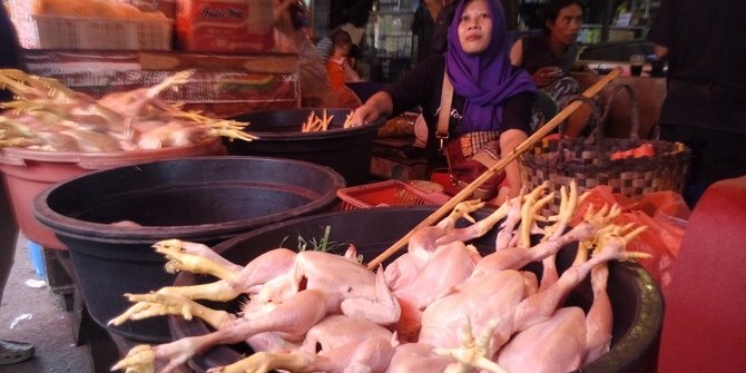 Jelang Idul Adha, Harga Daging Ayam Berangsur Turun | merdeka.com Jelang Idul Adha, Harga Daging Ayam Berangsur Turun | merdeka.com