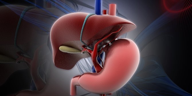 Penyebab Sirosis yang Perlu Diwaspadai, Kenali Gejala dan Pengobatannya ...