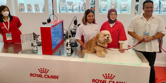 Kampanye Nutrisi Tepat, Royal Canin Meriahkan Indonesia International ...
