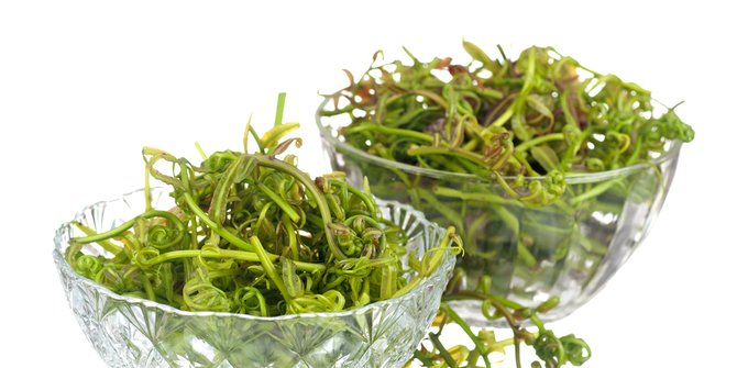 6 Aneka Resep Daun Pakis yang Lezat, Cocok untuk Menu Keseharian ...