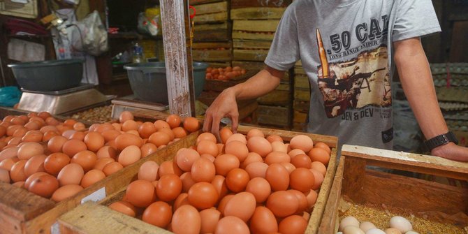 Jakarta Dapat Kiriman 25 Ton Telur Ayam Setiap Hari, Dari Mana Asalnya ...