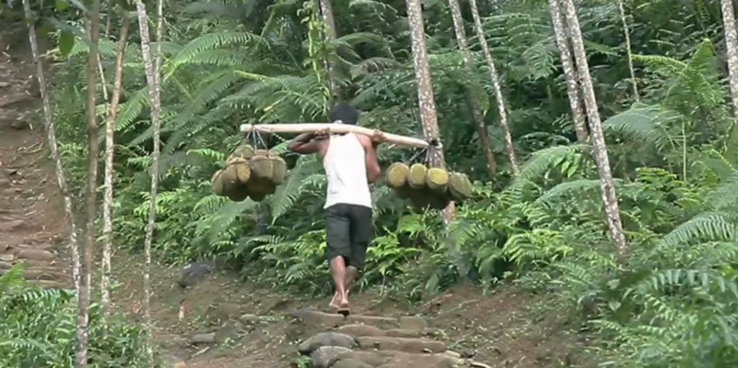 Sedang Masa Panen, Ini 6 Fakta Menarik Durian Khas Baduy | merdeka.com