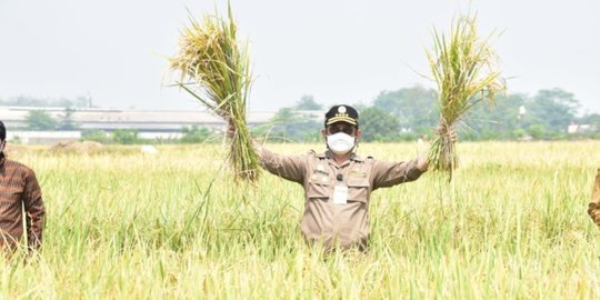 Anggota Komisi IV Apresiasi Kerja Keras Mentan SYL karena Wujudkan ... Anggota Komisi IV Apresiasi Kerja Keras Mentan SYL karena Wujudkan ...