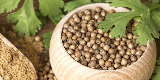 Manfaat Ketumbar untuk Kolesterol dan Kesehatan Lainnya, Perlu Diketahui