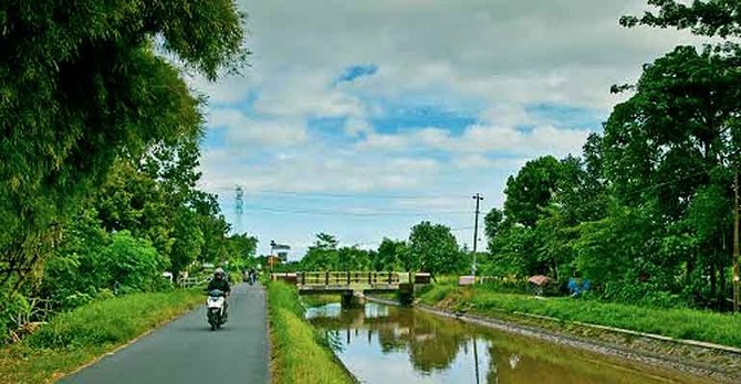 544 Hektare Sawah di Sleman Terdampak Penutupan Selokan Mataram, Ini 3 ...