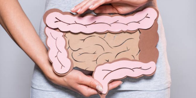 Penyebab Obstruksi Usus beserta Gejala dan Pengobatannya, Wajib ...