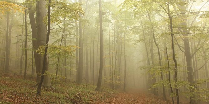 5 Fakta Sejarah Kamp Plantungan, Tempat Pembuangan Tapol Gerwani ...