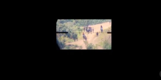 Penampakan Gerombolan OPM Masuk Bidikan Sniper TNI-Polri, Tinggal Tarik ...