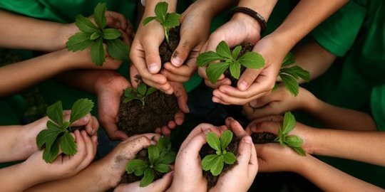 Memelihara Lingkungan Alam adalah Tugas Setiap Orang, Begini Cara Mudah ...