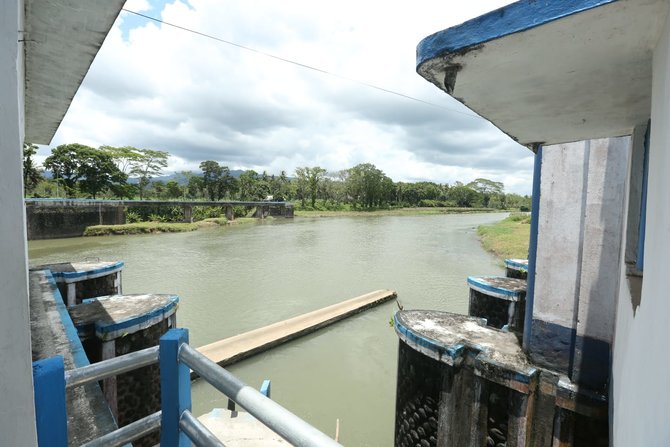 Bubak Bumi, Tradisi Turun Temurun Petani Banyuwangi Jelang Memasuki ...