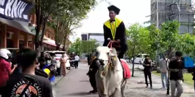 Viral Mahasiswa Ini Pilih Naik Sapi saat Berangkat Wisuda, Aksinya Curi Perhatian | merdeka.com