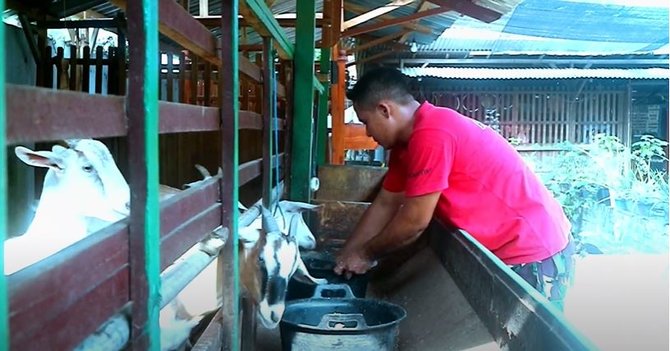 Cerita Anggota TNI Serka Dadan Nyambi jadi Peternak Kambing, Alasannya ...