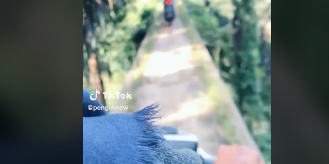 Viral Penampakan Jembatan Sempit Disebut 'Sirotol Mustaqim', Kanan Kiri ...
