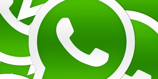 Calvin Kizana Ditunjuk Jadi Bos WhatsApp Indonesia | merdeka.com