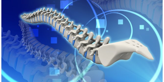 Perbedaan Tulang Rawan dan Tulang Keras, Ketahui Fungsinya | merdeka.com