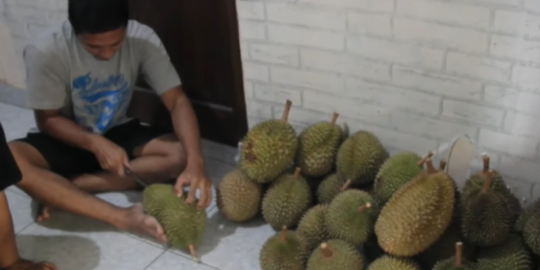 Hanya Dijual di Rumah Petani, Ini Istimewanya Durian Gandaria Asli Sukabumi