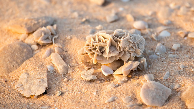 4 Fenomena Alam Abnormal di Arab Saudi, Bukit Tandus Menghijau sampai ...
