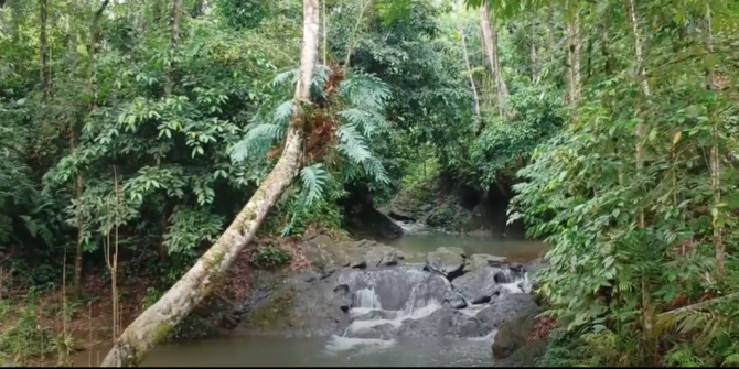 3 Aktivitas Jelajah Wisata Batu Katak, Bisa Lihat Langsung Pesona Bunga ...